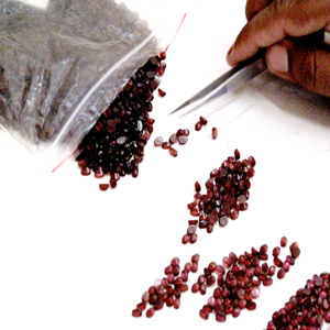 Gem Sorting | Learning Library | Gemporia