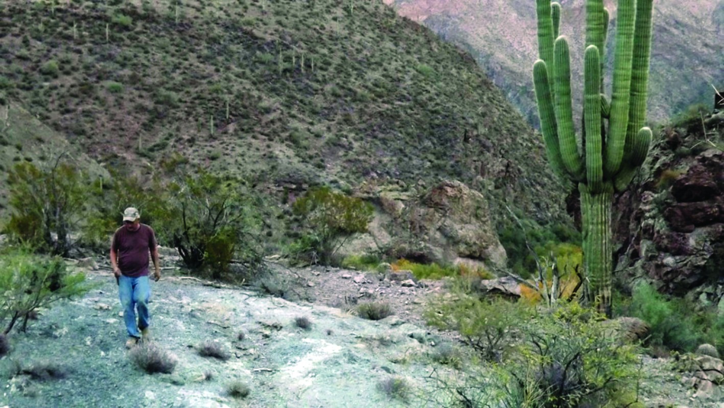 Everything You Need to Know About Garnet