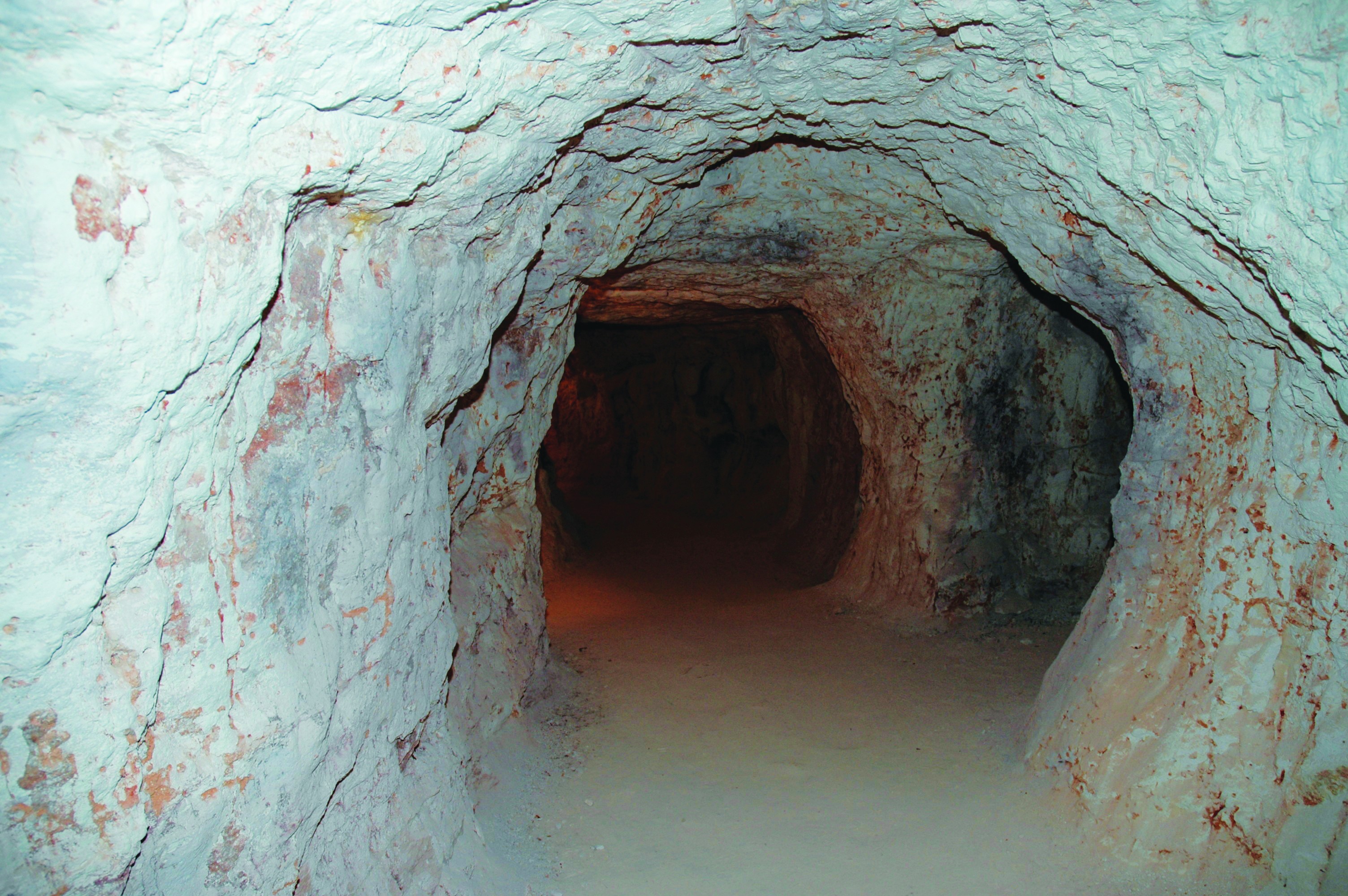 Everything You Need to Know About Opal