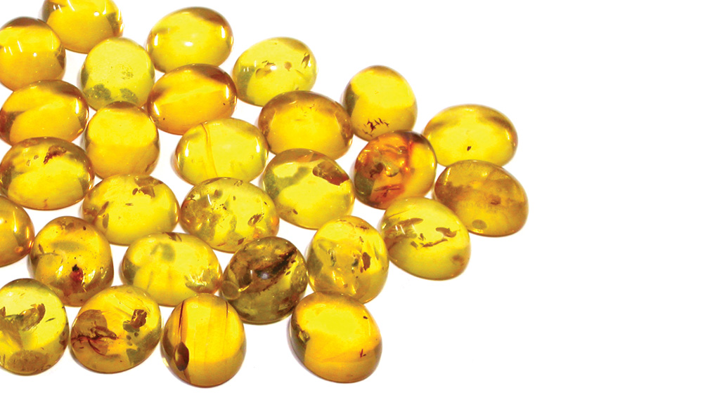 What Makes Amber Jewellery So Special? | Gemporia