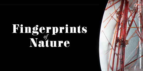 Fingerprints of Nature: The Beauty of Inclusions