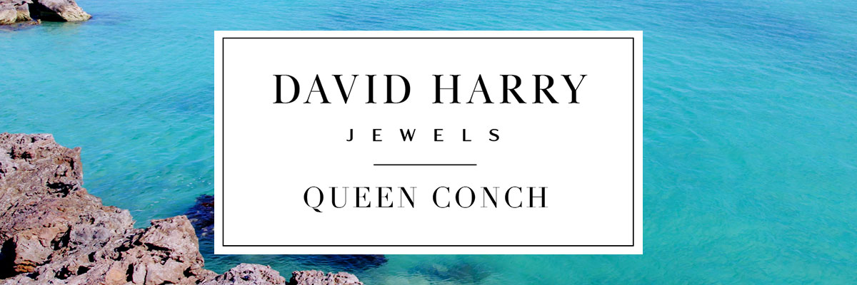 Conch Collection by David Troth | Gemporia