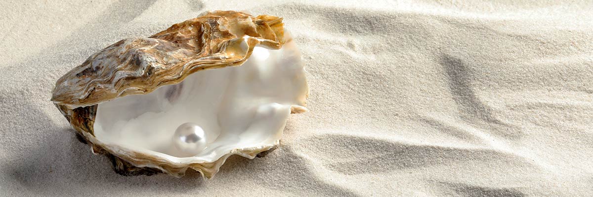 Everything You Need to Know About Pearl