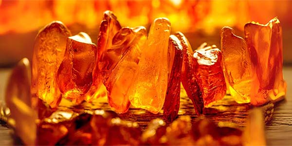 Types and Variants of Amber – Understanding Rarity and Value