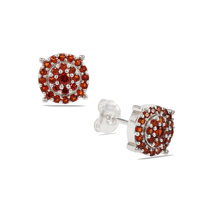 The Remarkable Origin Story of Anthill Garnet