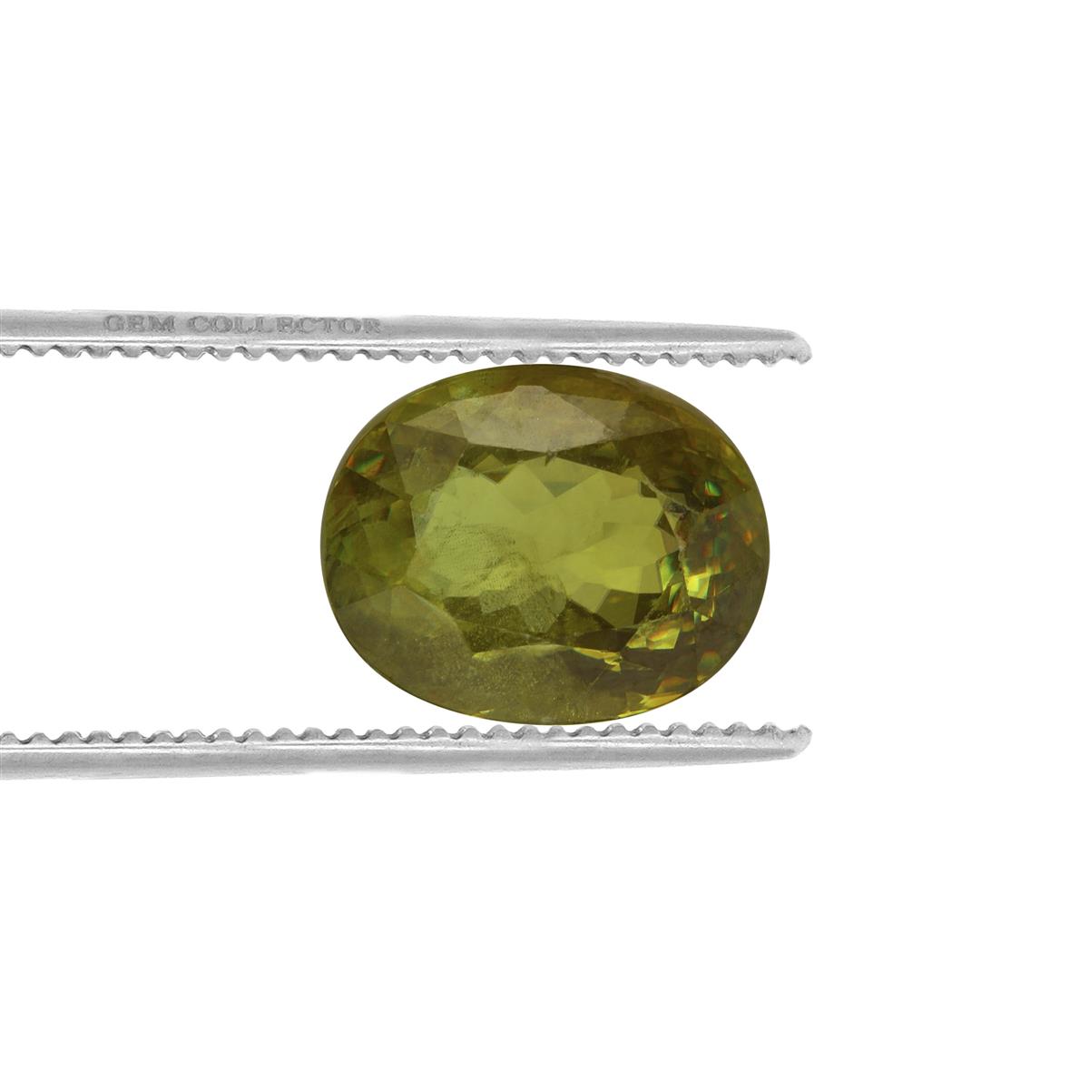 Ambilobe Sphene 4.3cts | GemCollector