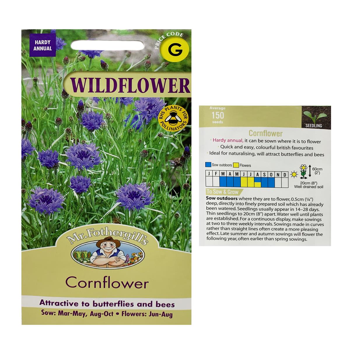 Cornflower Wild Cornflower (Av 150 Seeds) | Gemporia