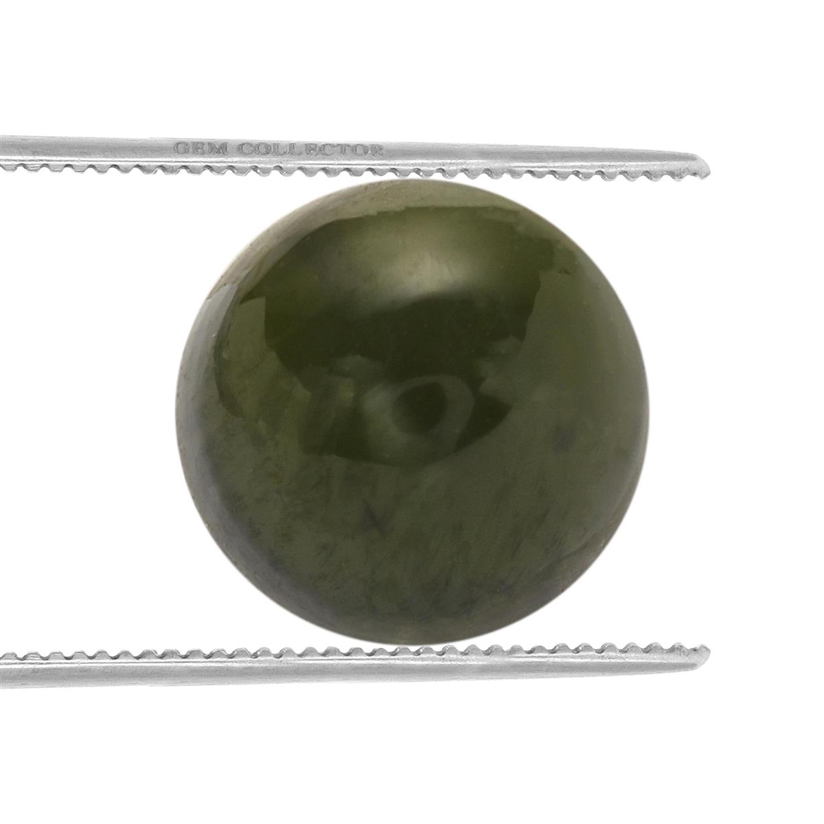 Cats Eye Enstatite 0.68ct | GemCollector