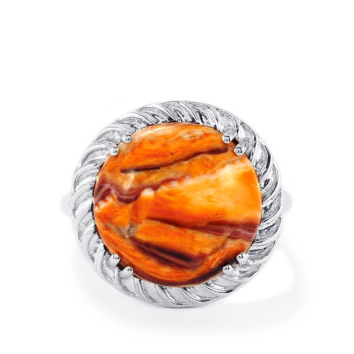 Lion's Paw Shell Ring in Sterling Silver | Gemporia