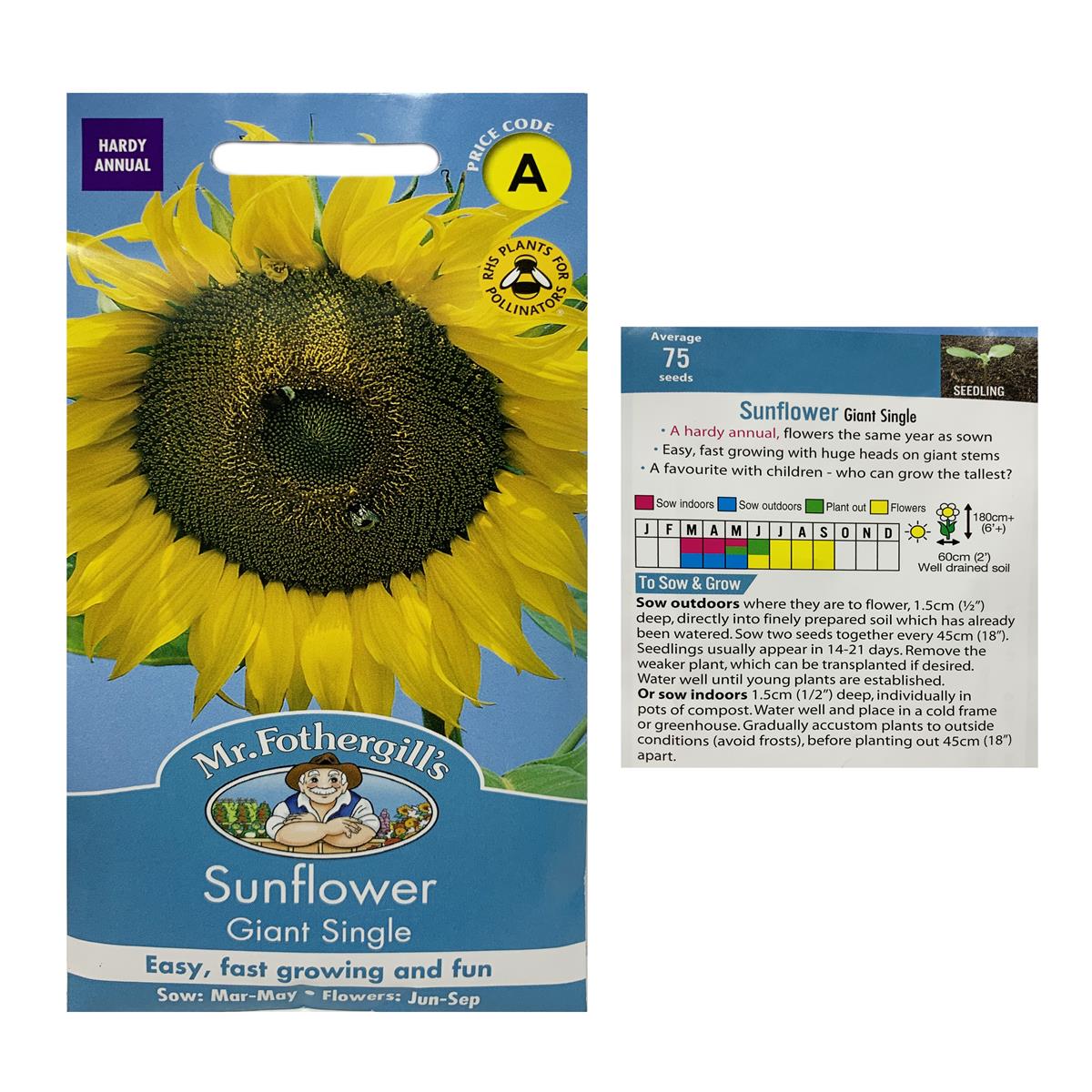 Sunflower Giant Single Seeds (Av 75 Seeds) | Gemporia