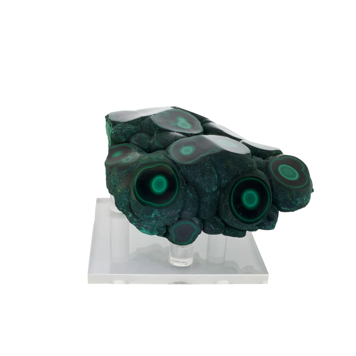 David Harry Jewels Bullseye Malachite Specimen 5463cts With Stand ...
