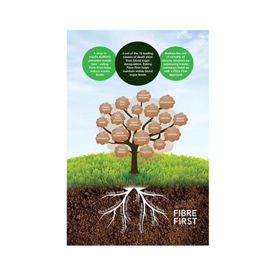 The Fibre First Diet By Steve Bennett | Gemporia